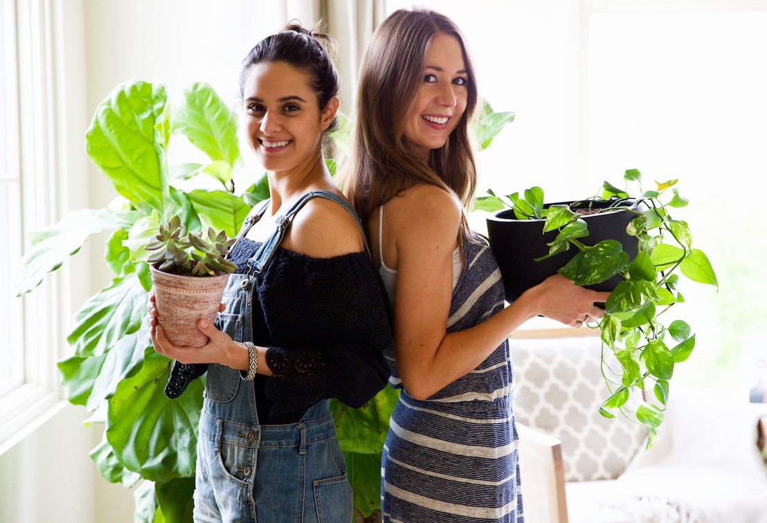 Grow Plants Indoors—Without Killing a Single One! - Prescott Woman Magazine