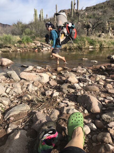 The World-Bearing Turtle - Prescott Woman Magazine